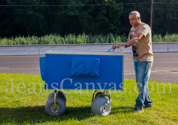 Custom Fabricated Carts